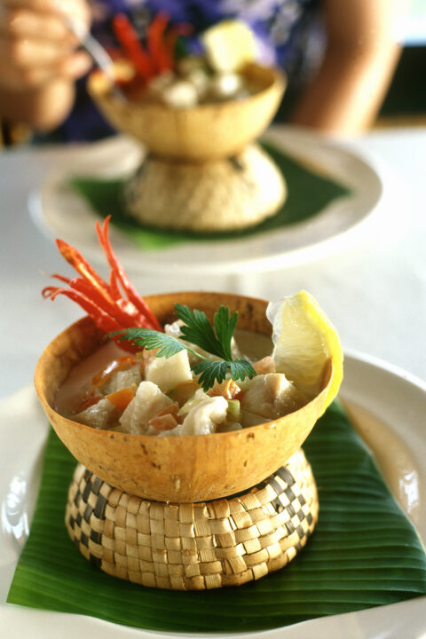 Accommodation - Nukubati | Great Sea Reef